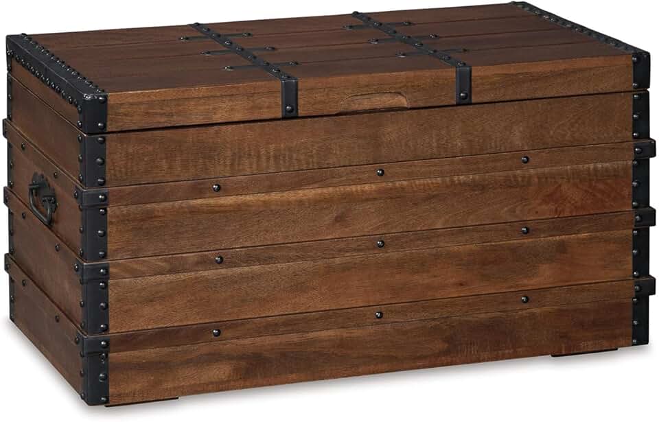 Amazon.com: Storage Trunks - Storage Trunks / Storage Trunks & Chests ...