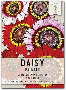 Amazon.com : Seed Needs, Painted Daisy Seeds - 1,000 Heirloom Seeds for ...