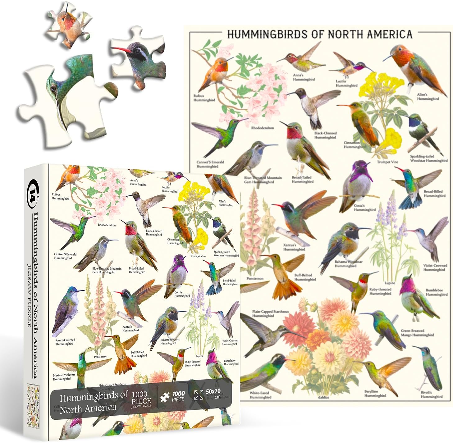 Amazon.com: Hummingbirds Puzzles for Adults 1000 Pieces and up, Vintage ...
