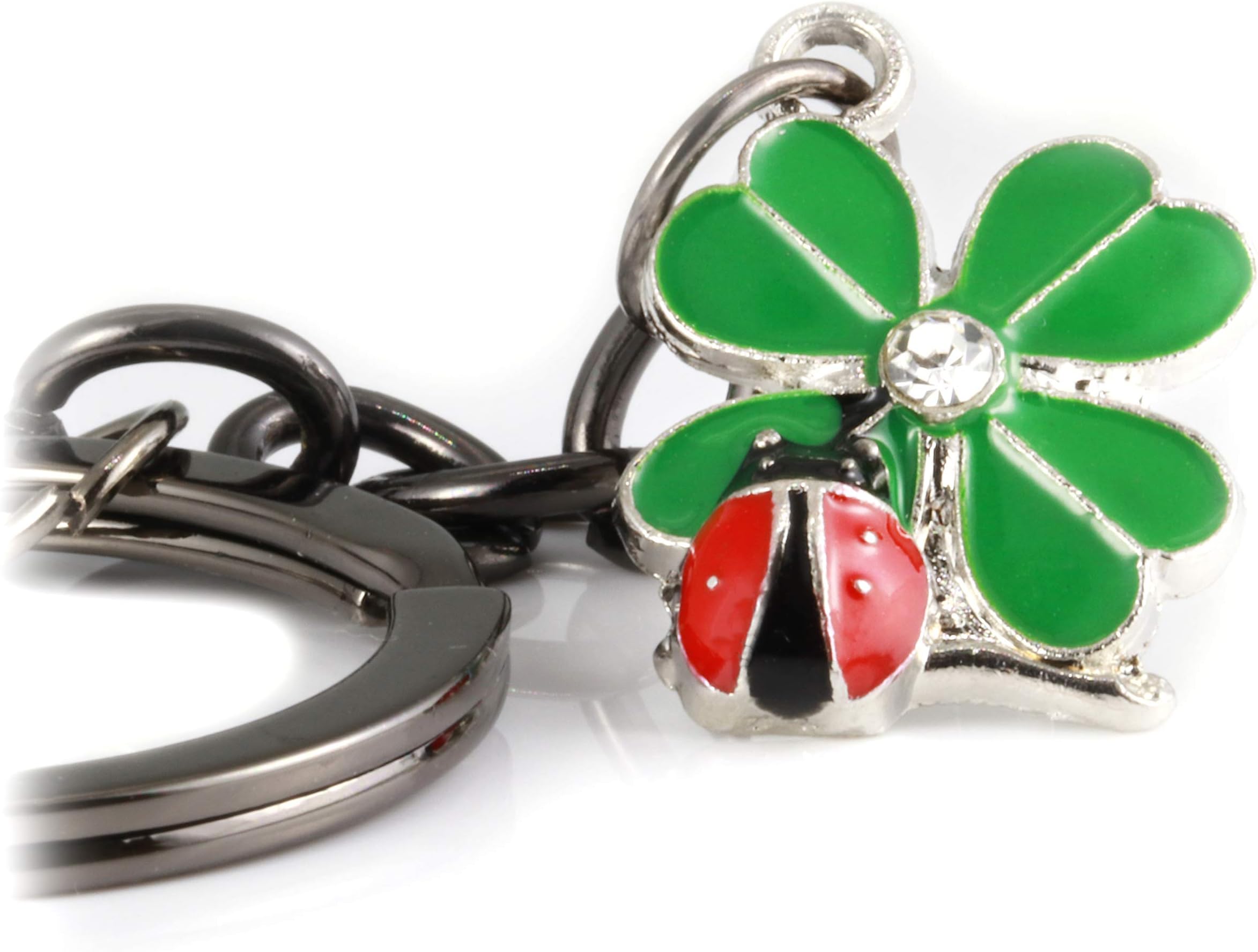 Amazon.com: Hand Painted Ladybug Insect Key Chain : Home & Kitchen