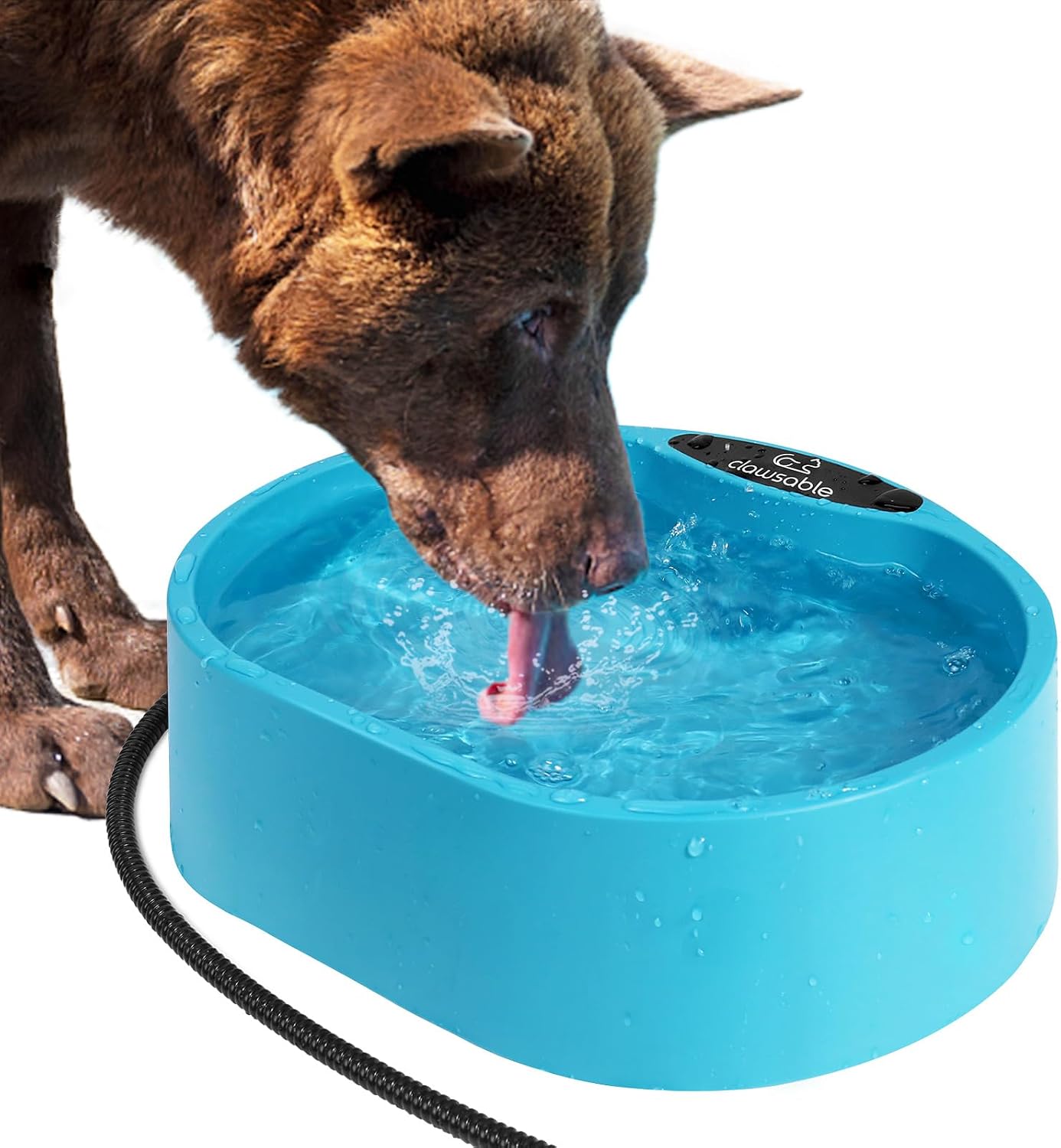 Amazon.com : Outdoor Heated Water Bowl for Dog & Cat, Heated Dog Bowl ...
