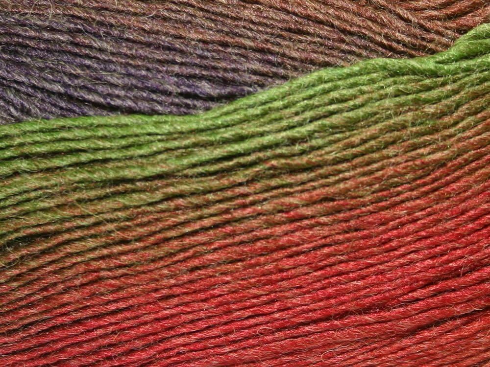 Amazon.com: King Cole Riot DK Knitting Wool/Yarn Wizard 403 - per 100g ...