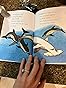 Amazon.com: Hungry, Hungry Sharks (Step-Into-Reading, Step 3 ...