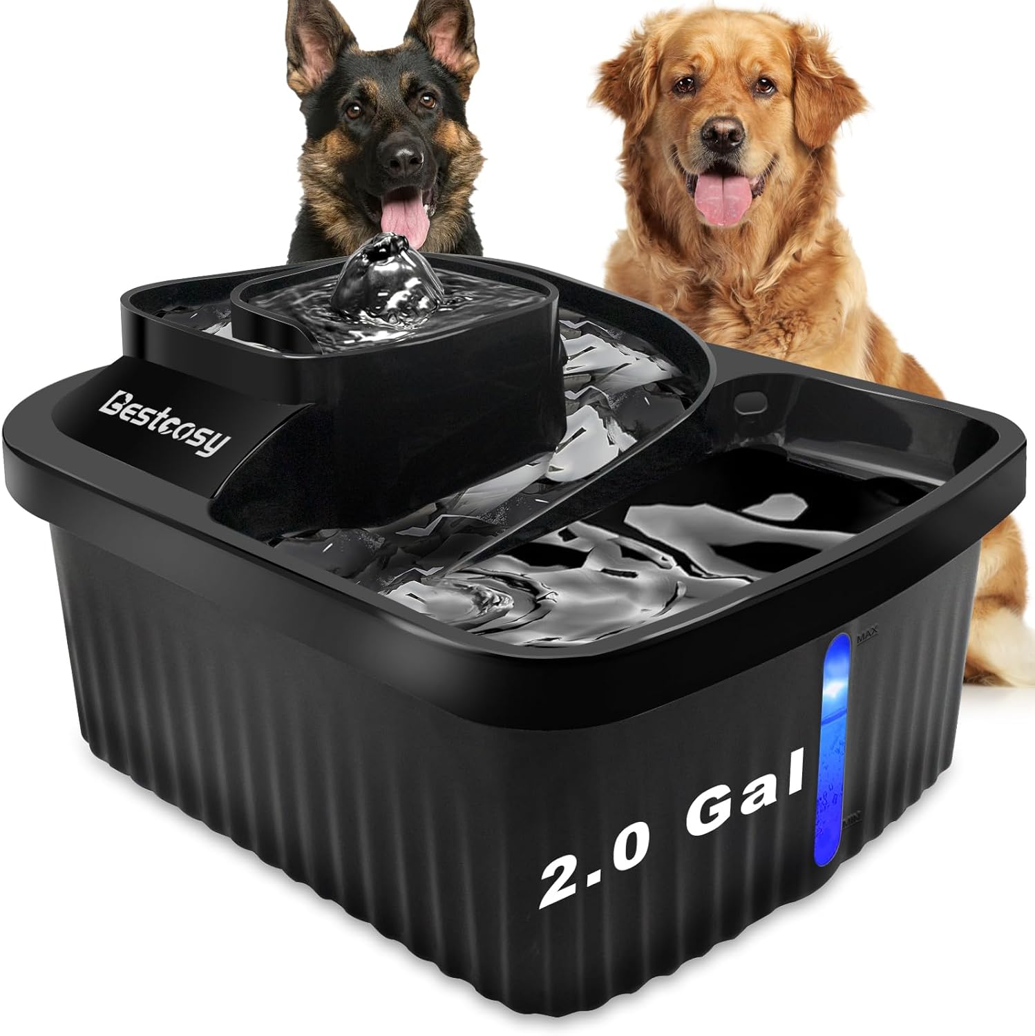 Pet Supplies : Bestcosy Dog Water Fountain, 2 Gallon/7.5L Large Dog ...