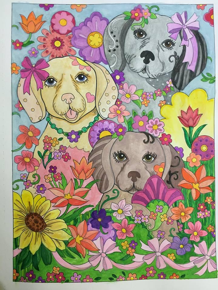 Amazon.com: Creative Haven Playful Puppies Coloring Book: Relax & Find ...