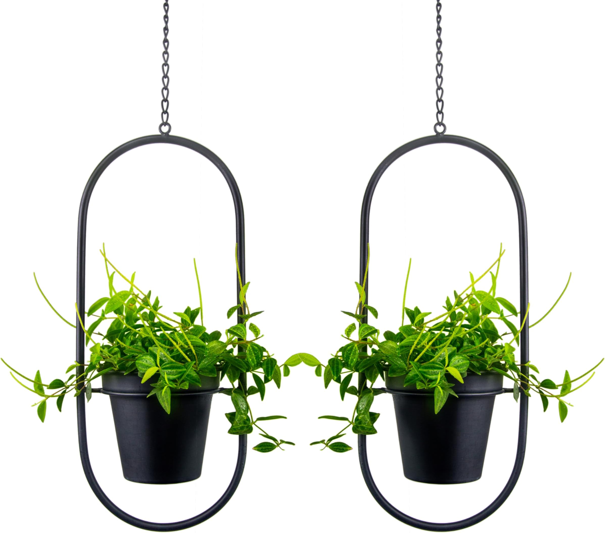 Amazon.com: Metal Hanging Planters, Modern Plant Hanger with 5 inch Pot ...