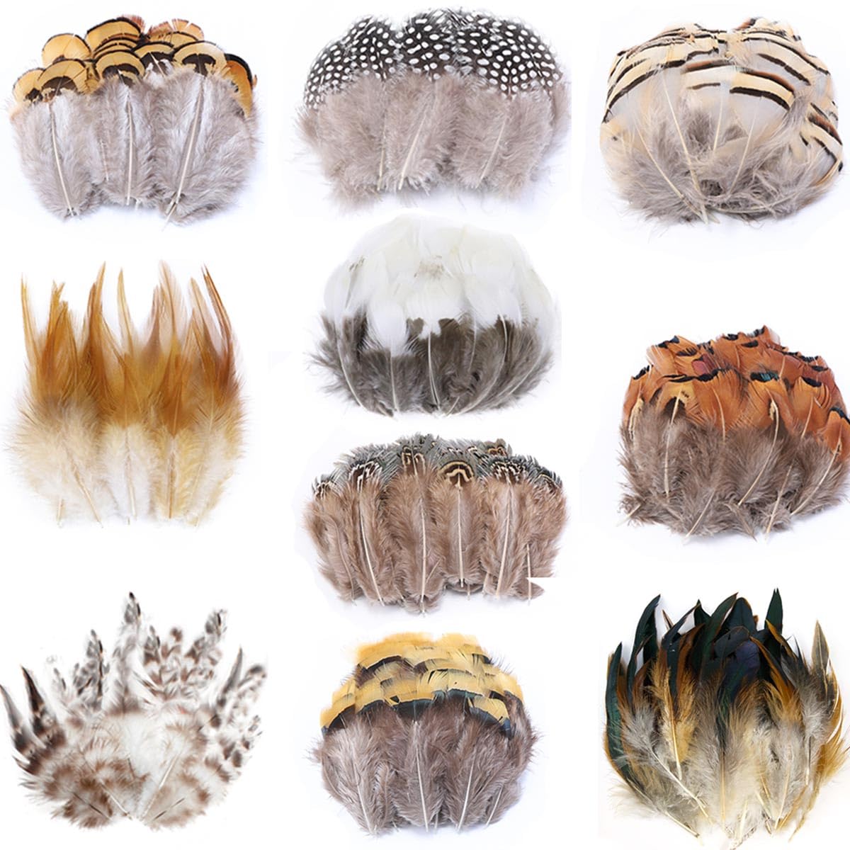 180pcs 6 Style Natural Feathers Assorted Mixed Feathers for Dream ...