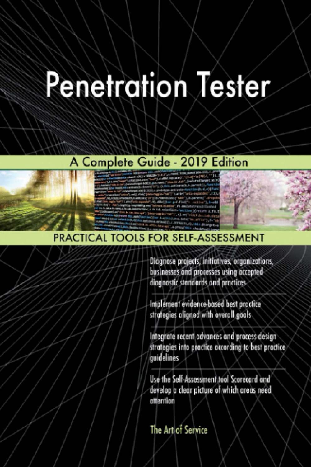 Buy Penetration Tester A Complete Guide - 2019 Edition Book Online at ...