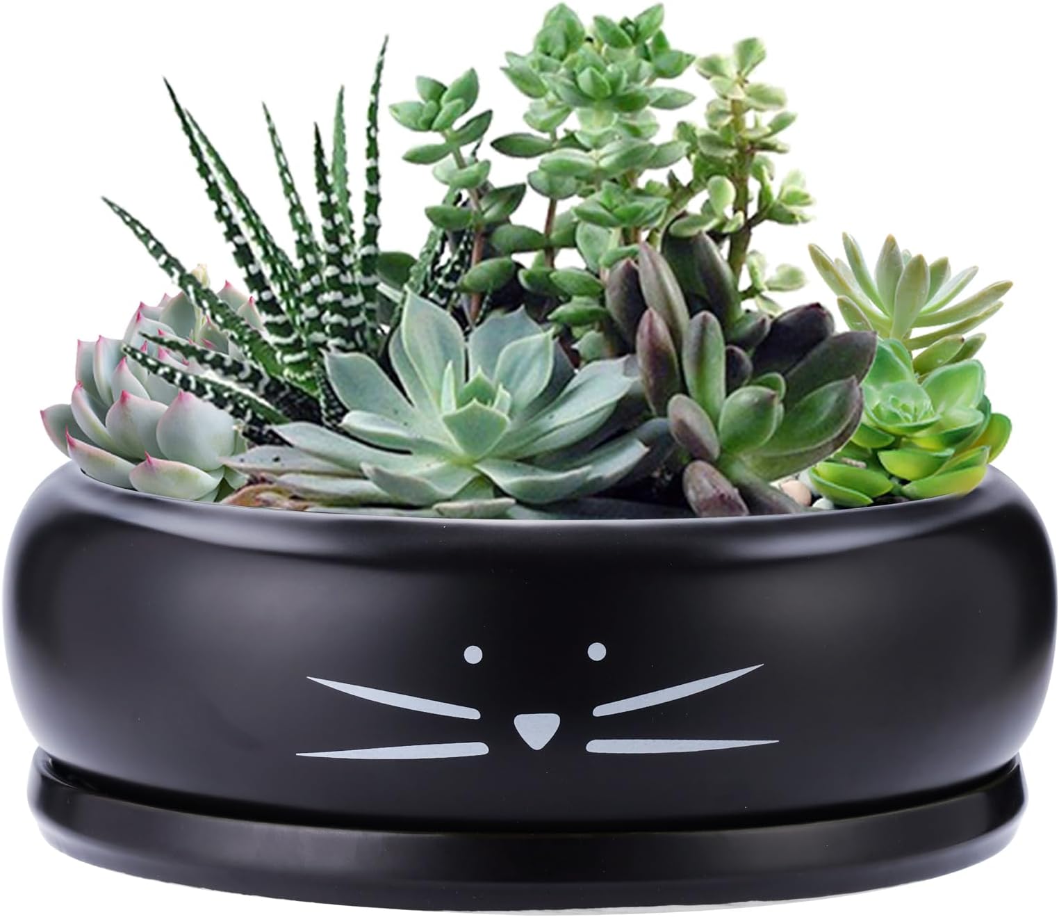 Amazon.com : Classic Home and Garden Cement Buddies Indoor Outdoor ...