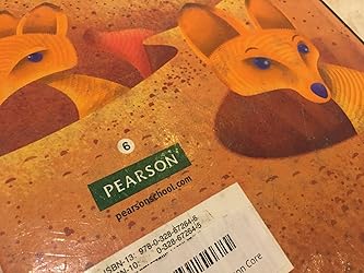 Amazon.com: Envision Math Grade 6 Common Core: 9780328672646: Pearson: Books