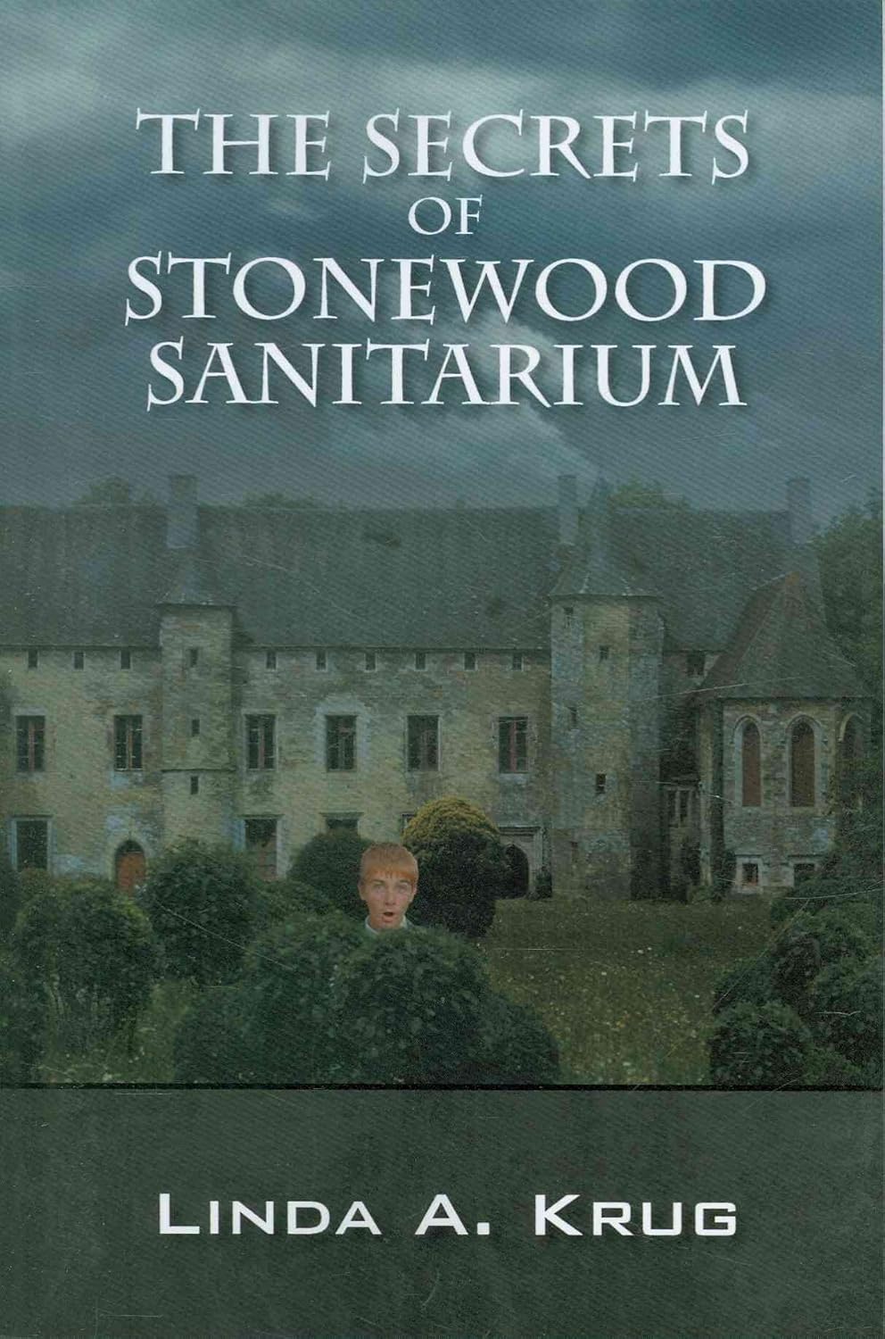 Amazon.com: The Secrets of Stonewood Sanitarium: 9781432729813: Linda A ...