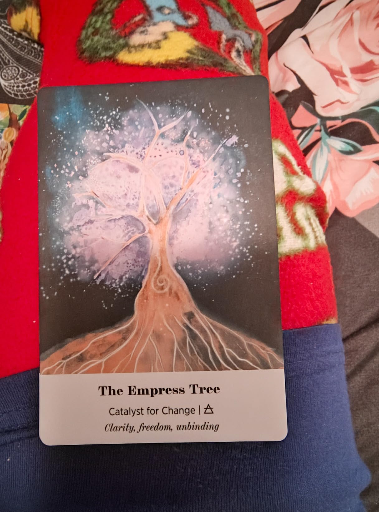 Earth Alchemy Oracle Card Deck: Connect to the wisdom and beauty of the ...