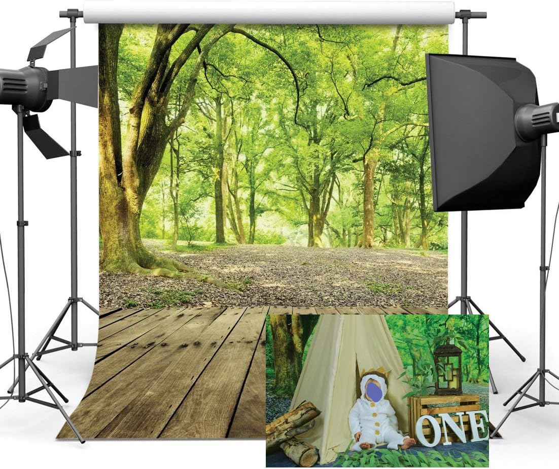 Amazon.com : VIDMOT 5x7ft Spring Scenery Backdrop Forest Path Sunshine ...