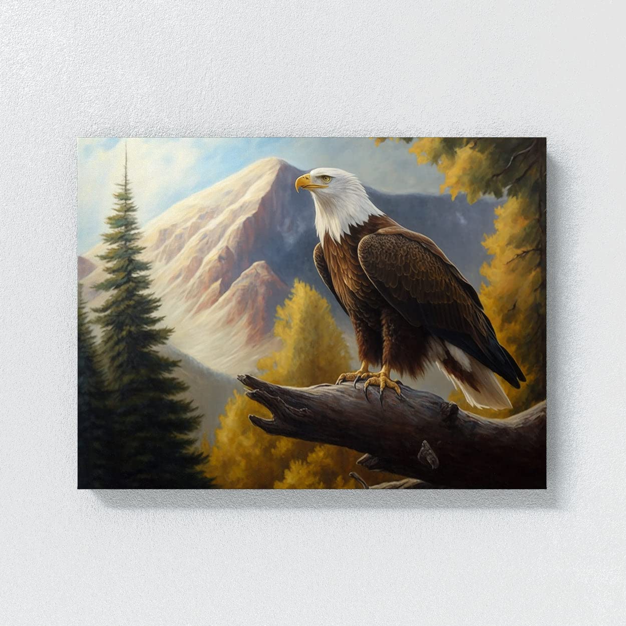 Realistic Bald Eagle Drawings