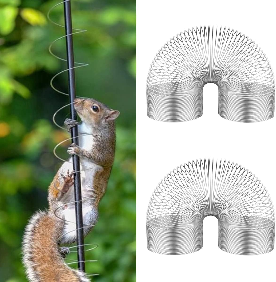 Amazon.com : 2Pcs Squirrel Proof Spring Device, Metal Squirrel Baffle ...