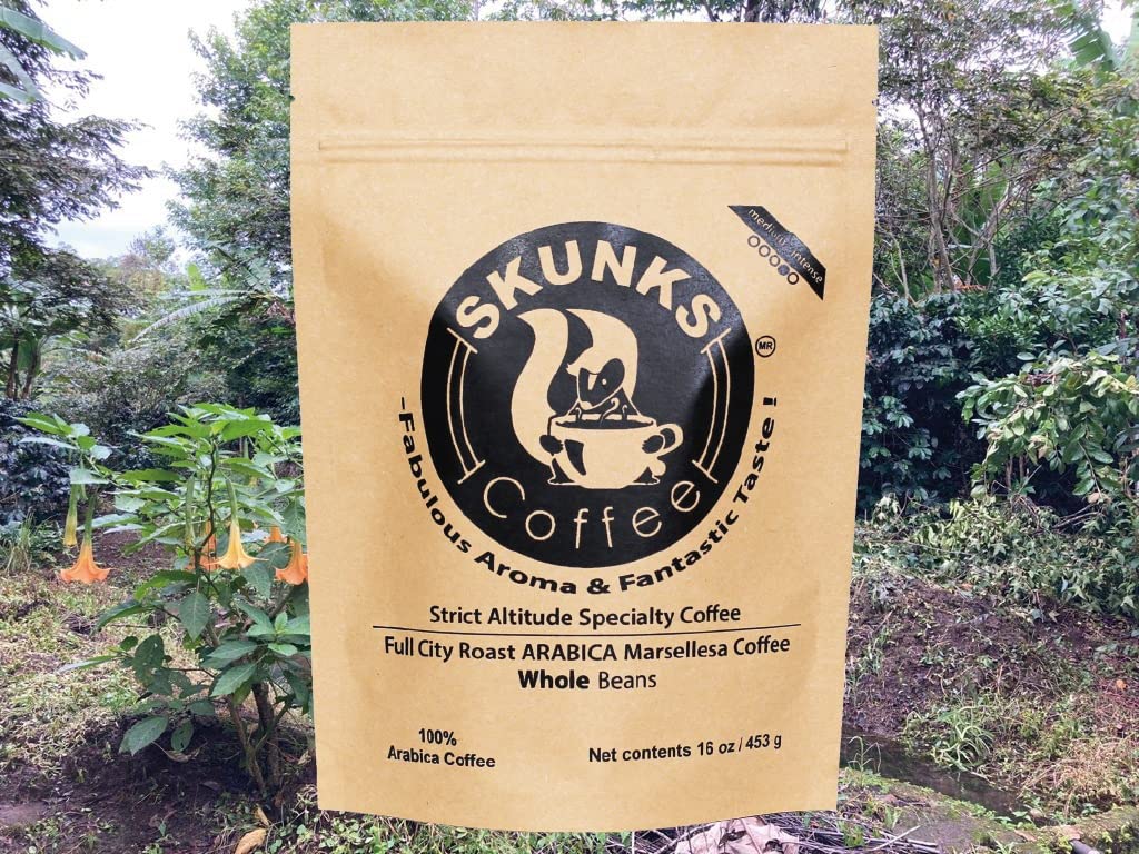 Amazon.com : SKUNKS COFFEE, WHOLE BEANS 1 POUND, ARABICA MOUNTAIN, FULL ...