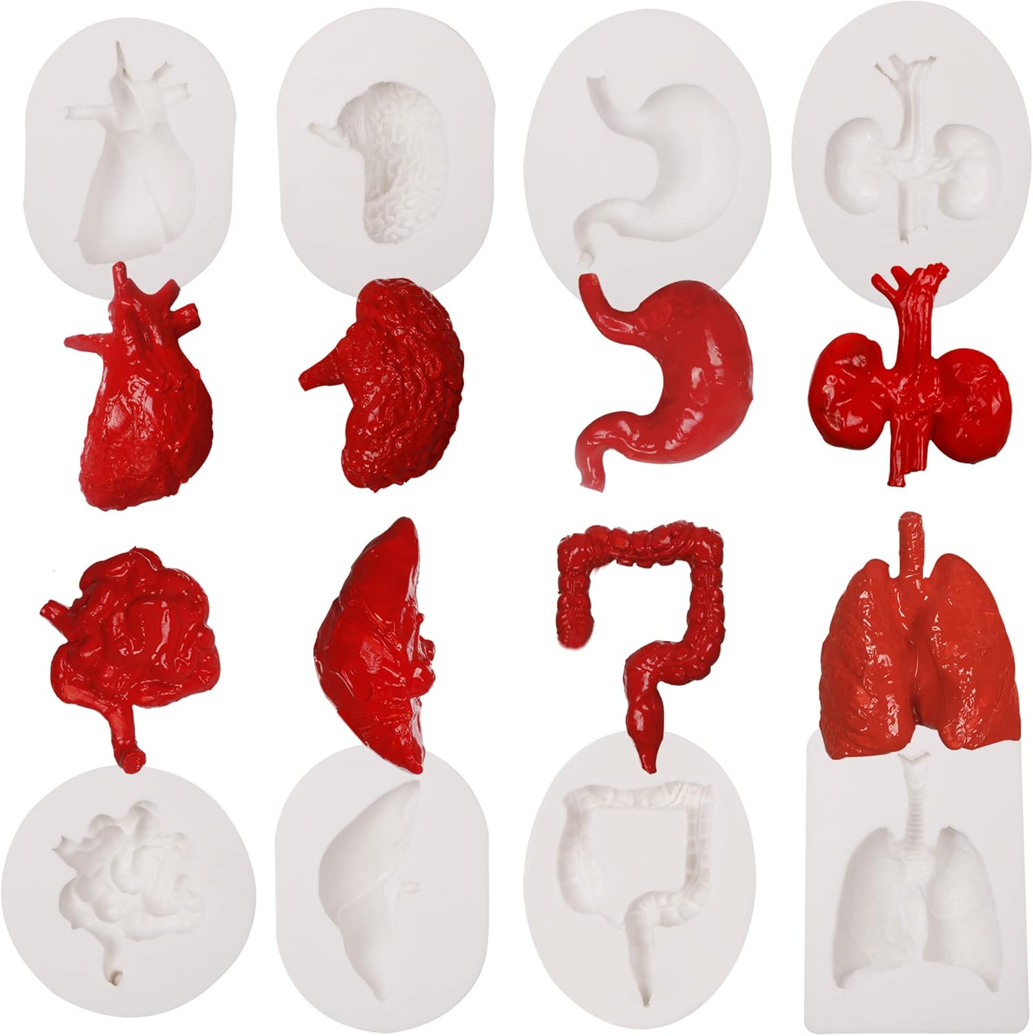 Amazon.com: Human Organs Silicone Molds 8 Pcs for Halloween, Heart ...