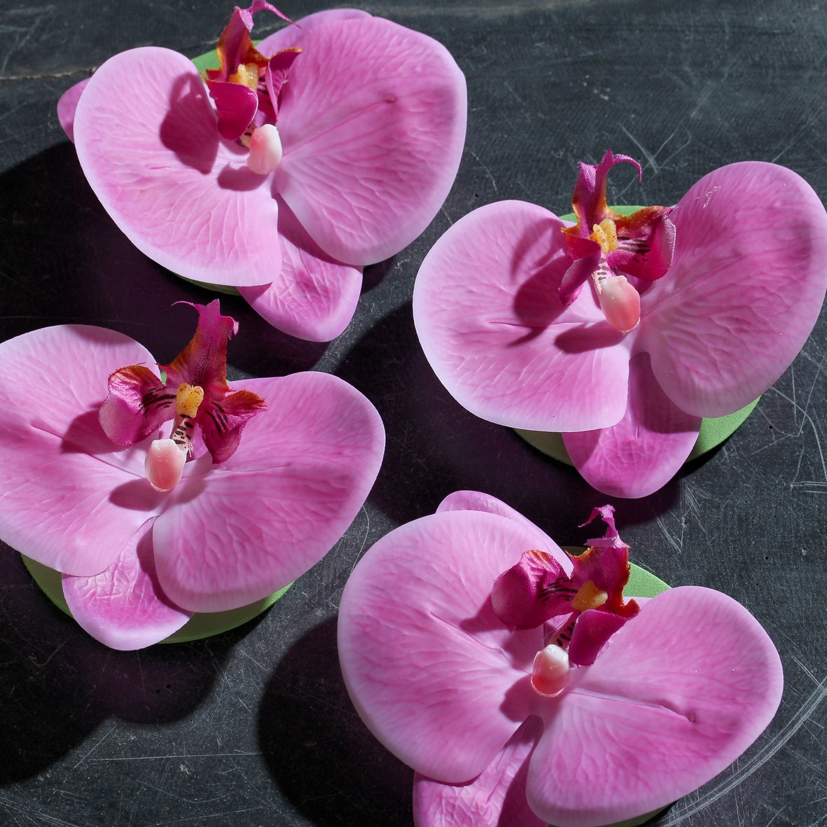 One Pink Orchid Flower