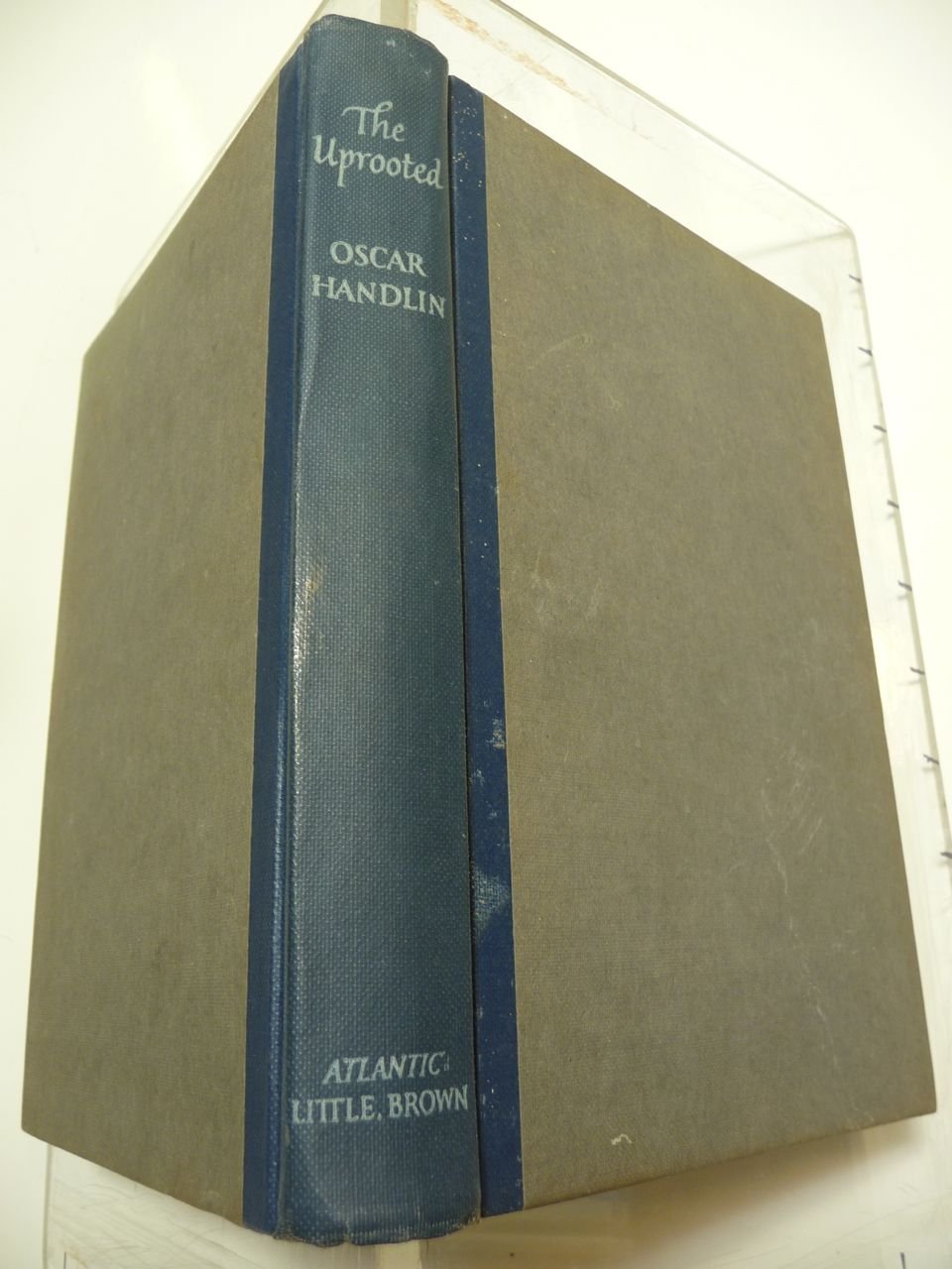 Amazon.com: THE UPROOTED THE EPIC STORY OF THE GREAT MIGRATIONS THAT ...