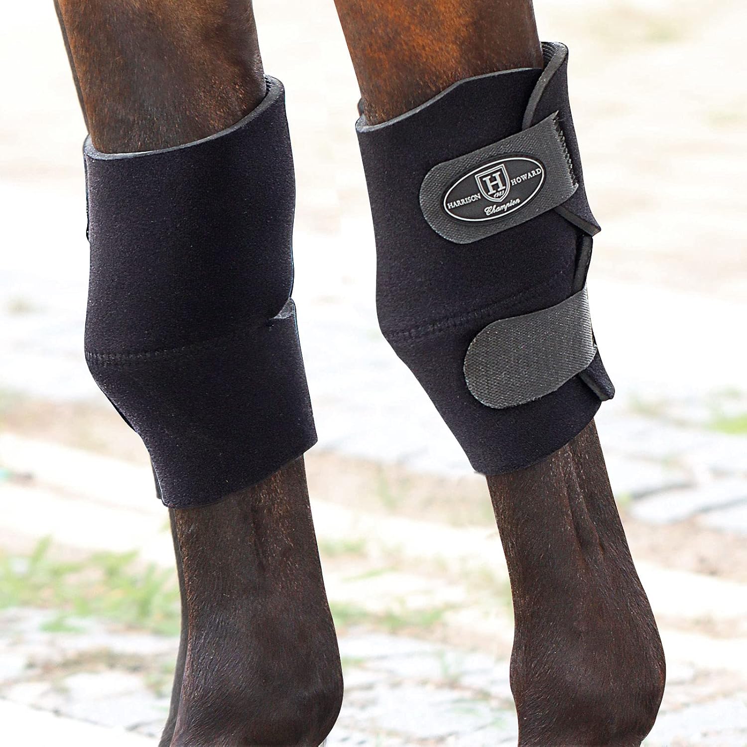Harrison Howard Equine Knee Boot Superb Protection Non-Slip Interior ...