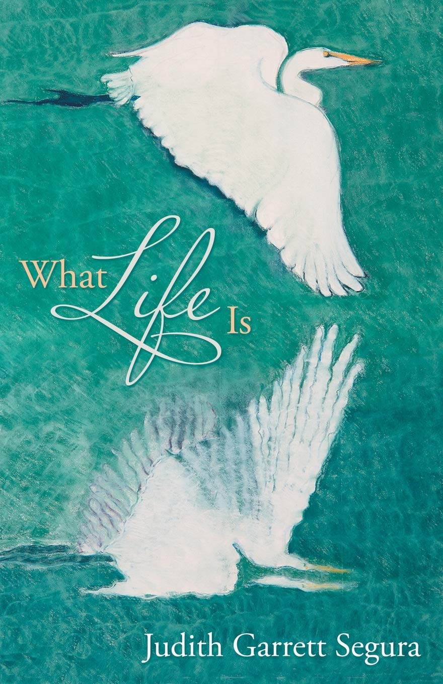 What Life Is: Segura, Judith Garrett: 9781480815797: Amazon.com: Books