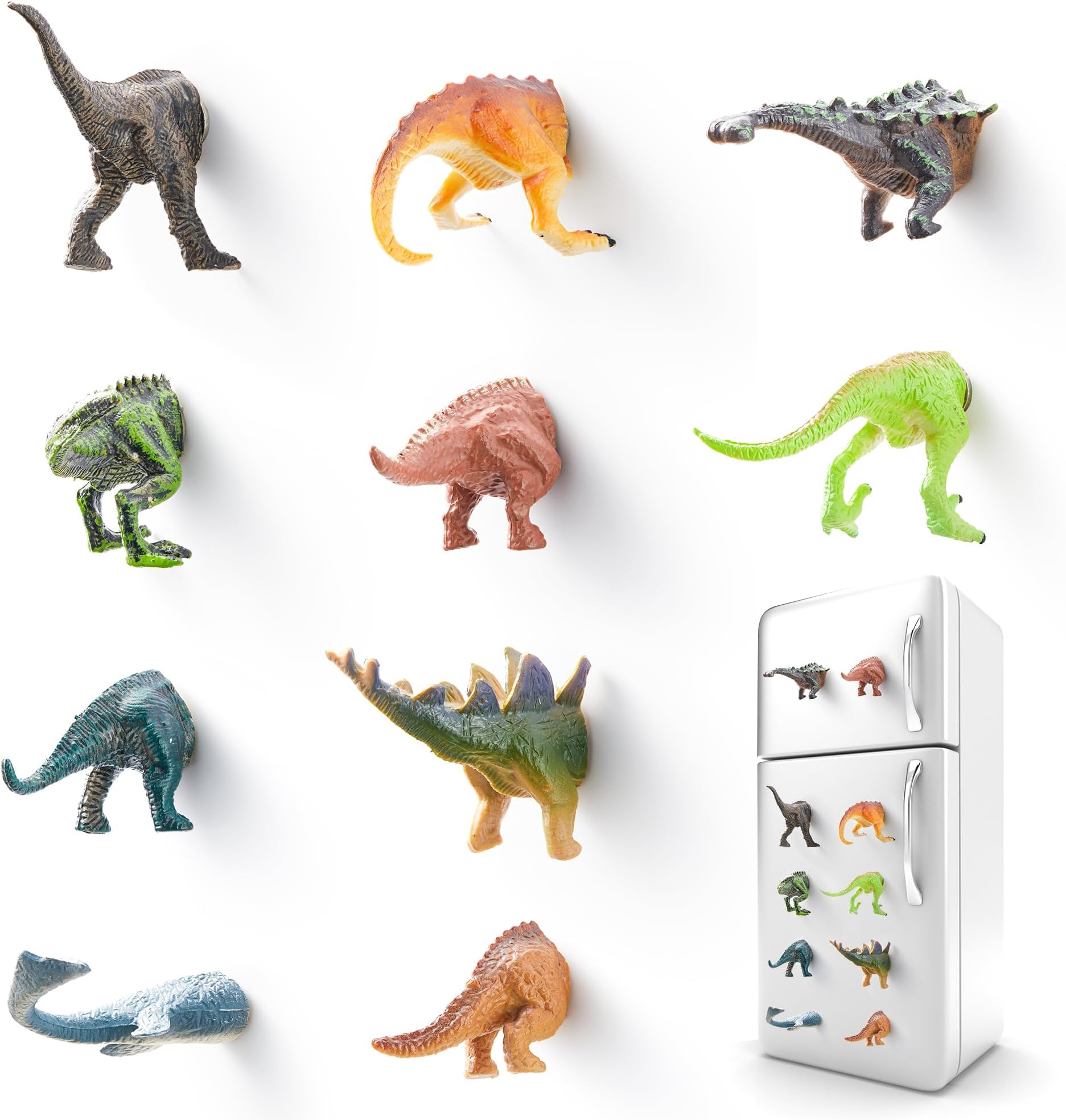 Amazon.com: 12 Dinosaur Magnets - Bring The Jurassic to Your Fridge ...