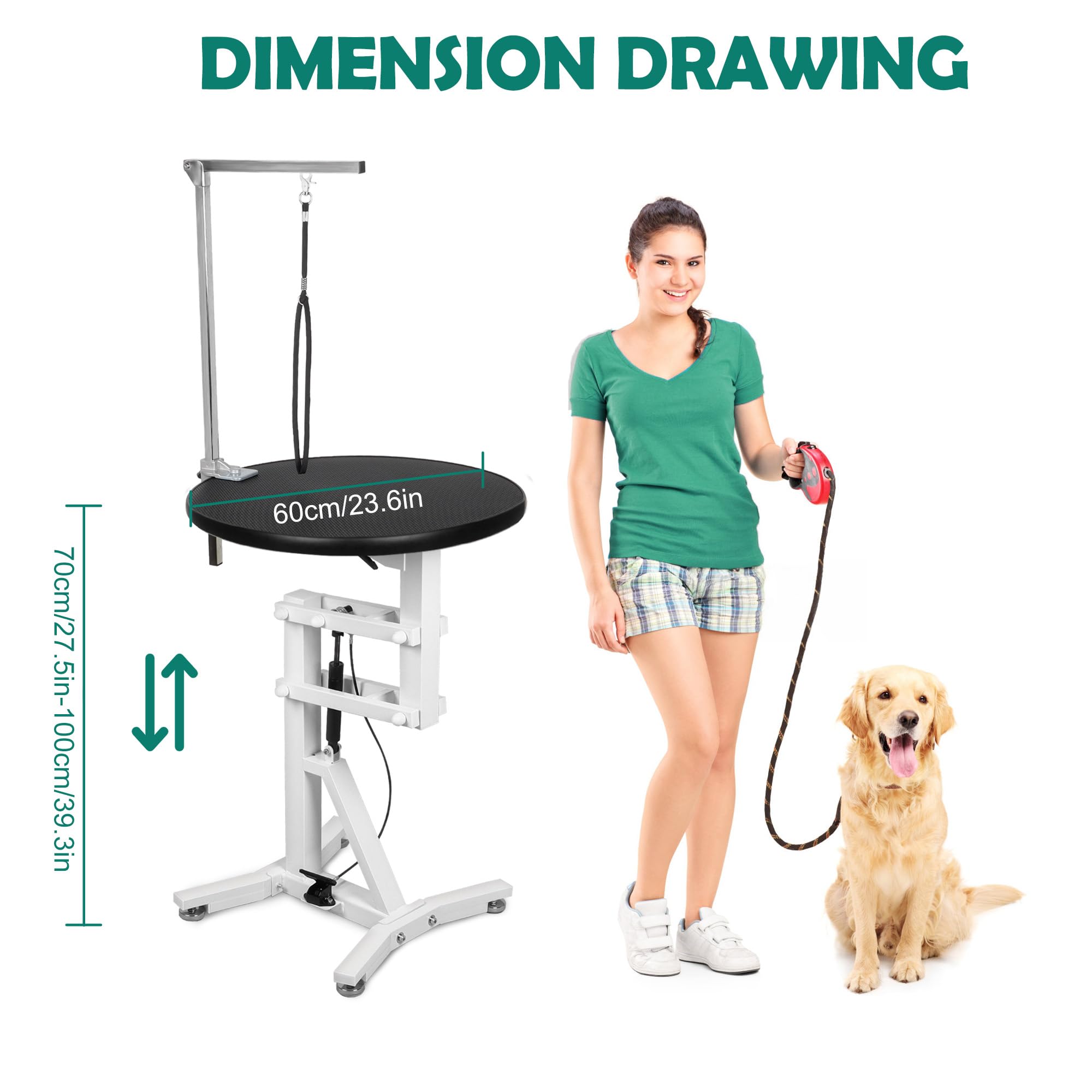Snapklik.com : DiDiBirDi 23 Pet Grooming Table, Pneumatic Lift Dog ...