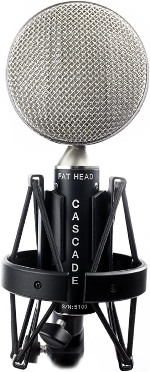 Amazon.com: Cascade Microphones FAT HEAD (Cinemag) - Black/Silver ...