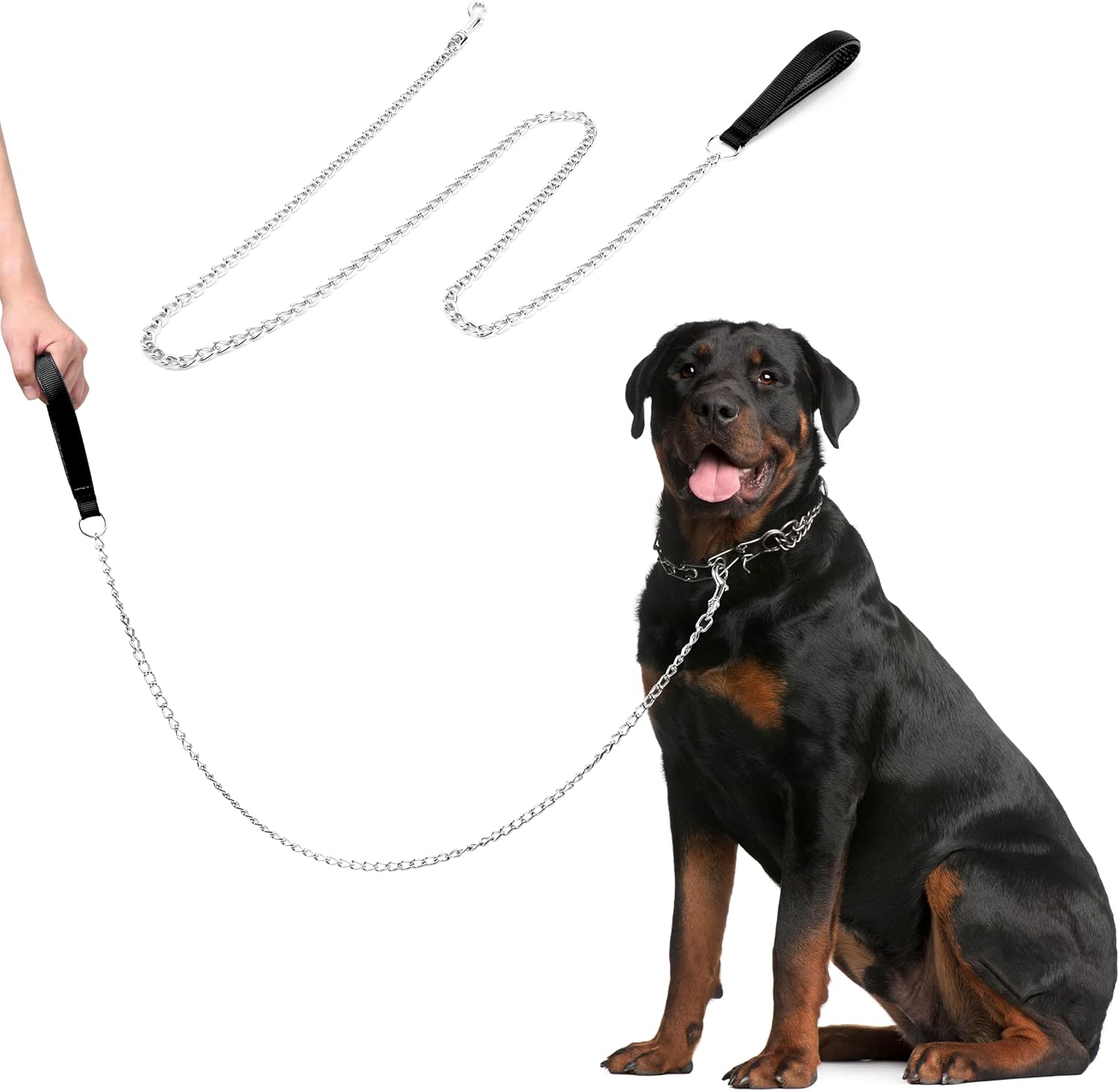 Amazon.com : Jumpress Heavy Duty Chain Leash for Medium Large Dogs ...