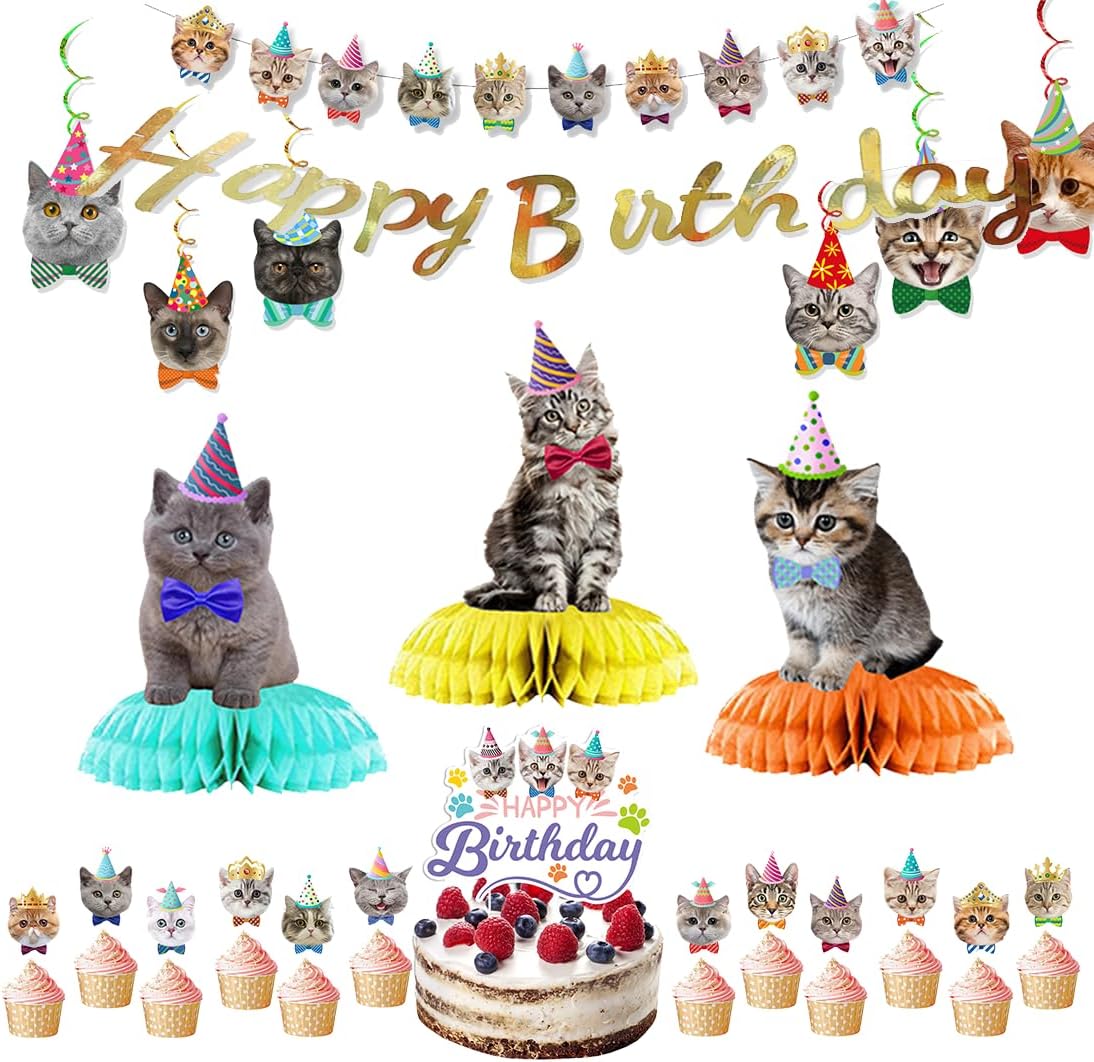 Amazon.com: 24pcs Cat-Themed Birthday Party Decorations. The Cat Party ...