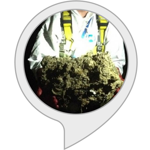 Amazon.com: Fatberg Facts : Alexa Skills