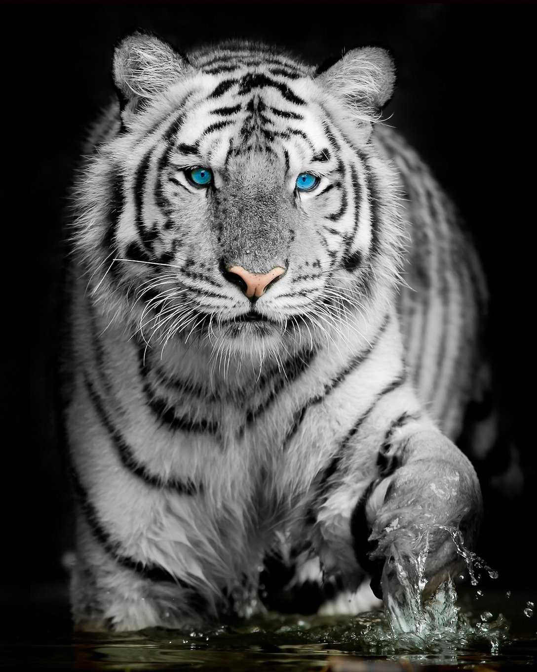 Amazon.com: Notes: 8x10 Notebook-100 Lined Pages-Crisp White Paper ...