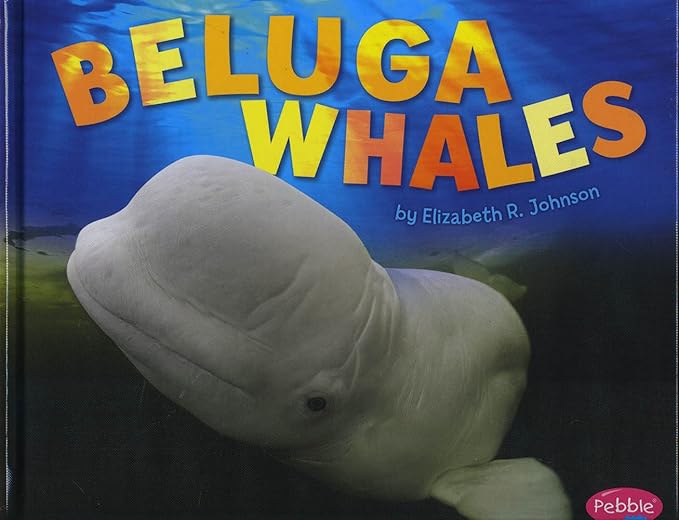 Beluga Whale (Pebble Plus: Sea Life): Johnson, Elizabeth R ...