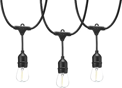 Amazon.com: Amazon Basics 48-Foot LED Outdoor String Lights with 16 ...