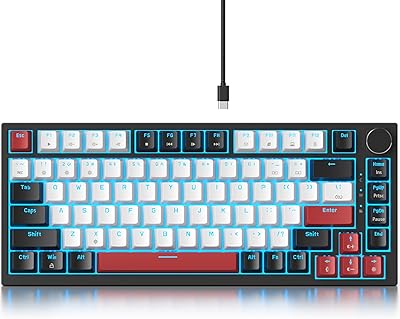 Amazon.com: GTSP 75% Custom Barebones Keyboard kit Gasket Mouted，Blank ...