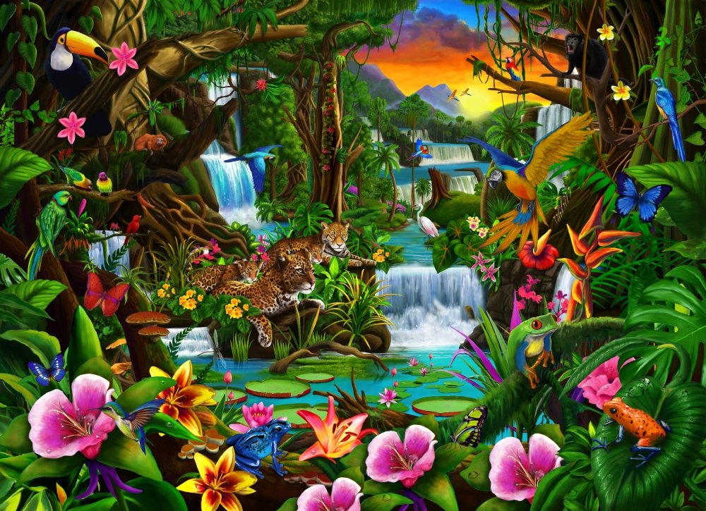 Beautiful Tropical Rainforests