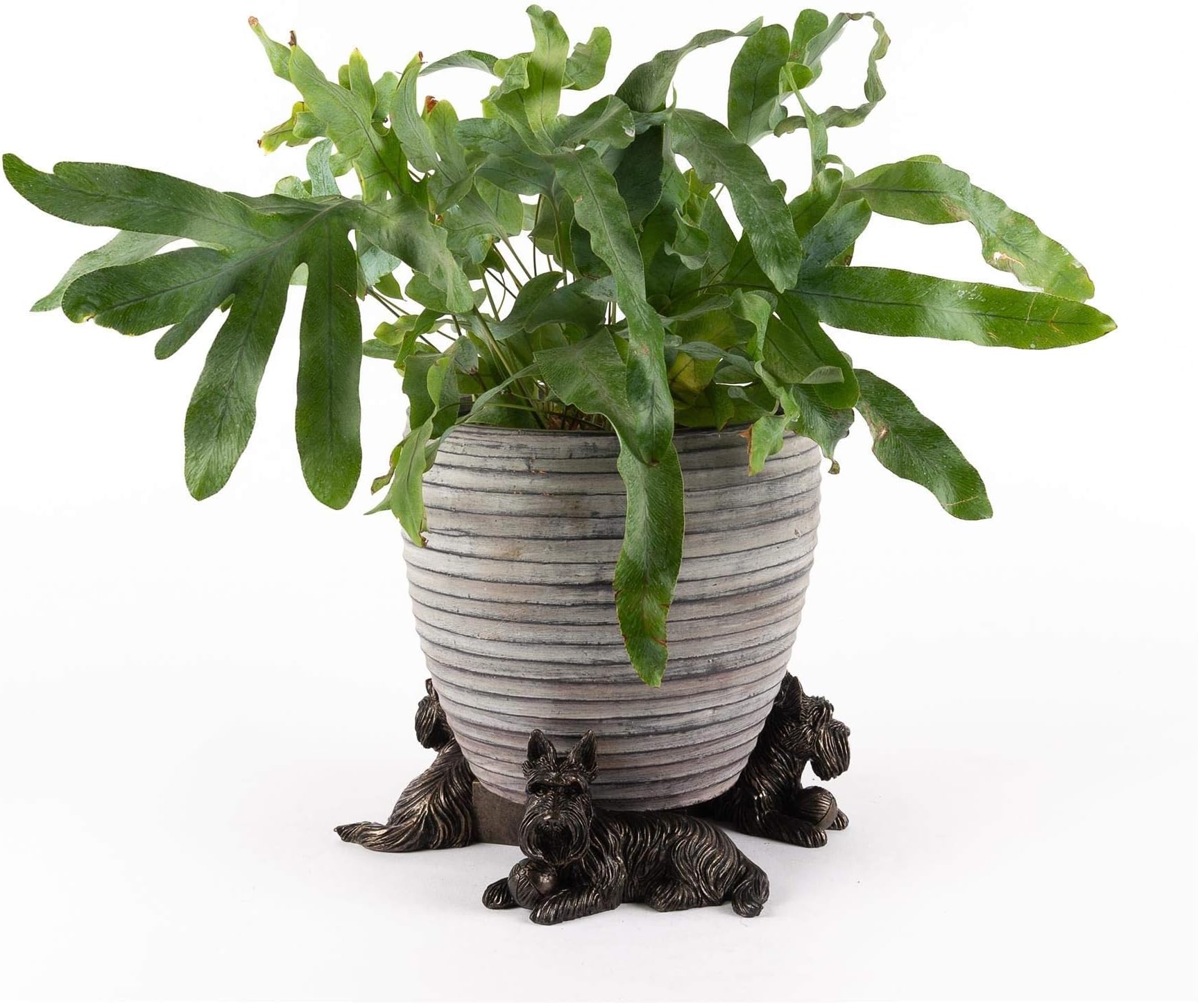 Amazon.com: Luckymeet Flower Pot Feet Animal Figures - Outdoor Planters ...