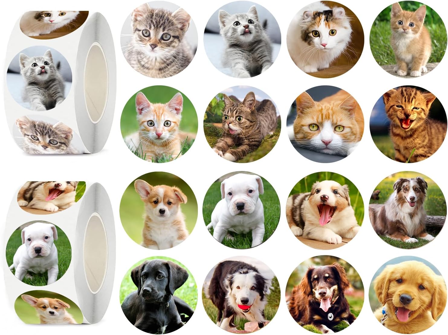 Amazon.com: Hohamn 600 Pcs Puppy and Kitten Stickers for Kids Teachers ...