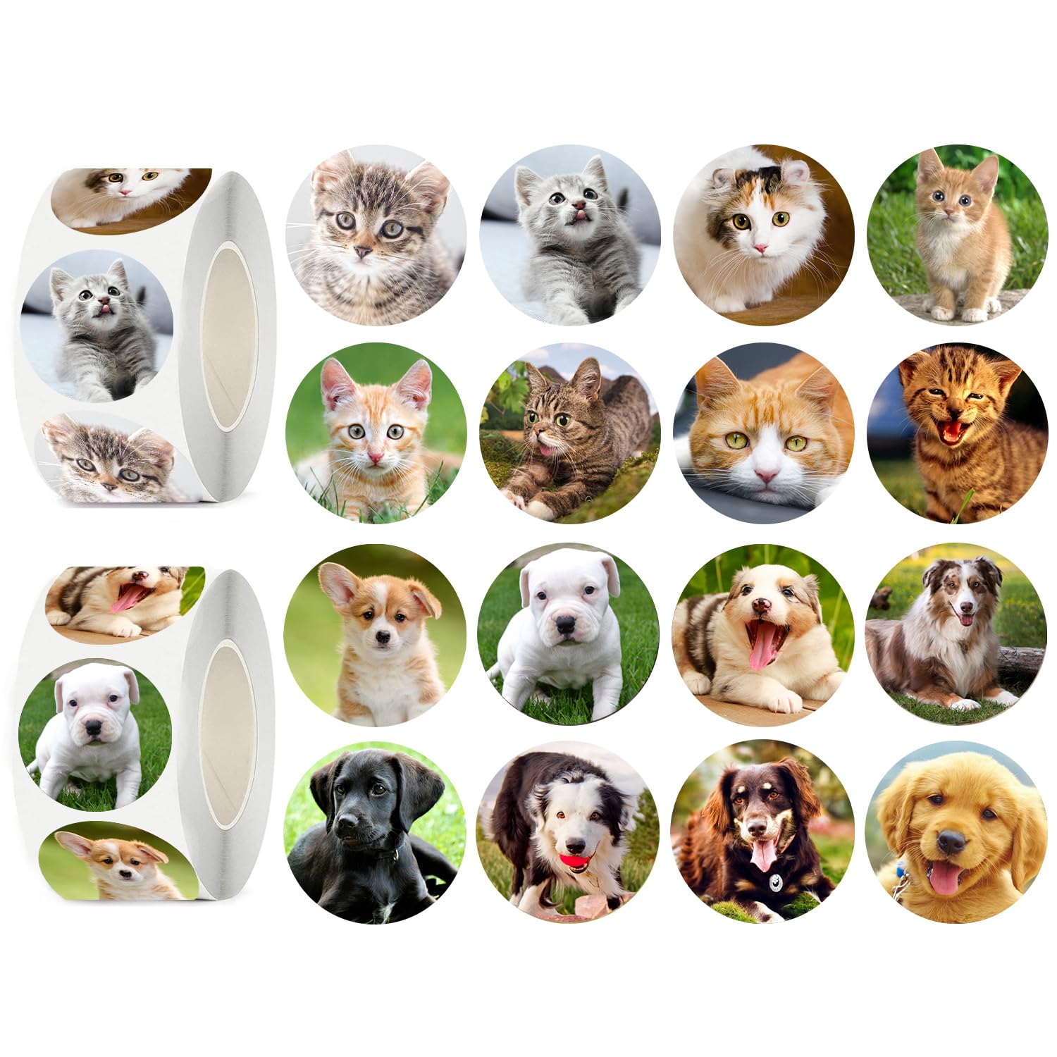 Amazon.com: UVUXO 600 Pcs Cat and Dog Stickers for Kids- 1.5 Inch Round ...