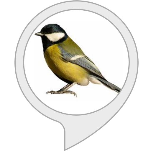 Amazon.com: null : Alexa Skills