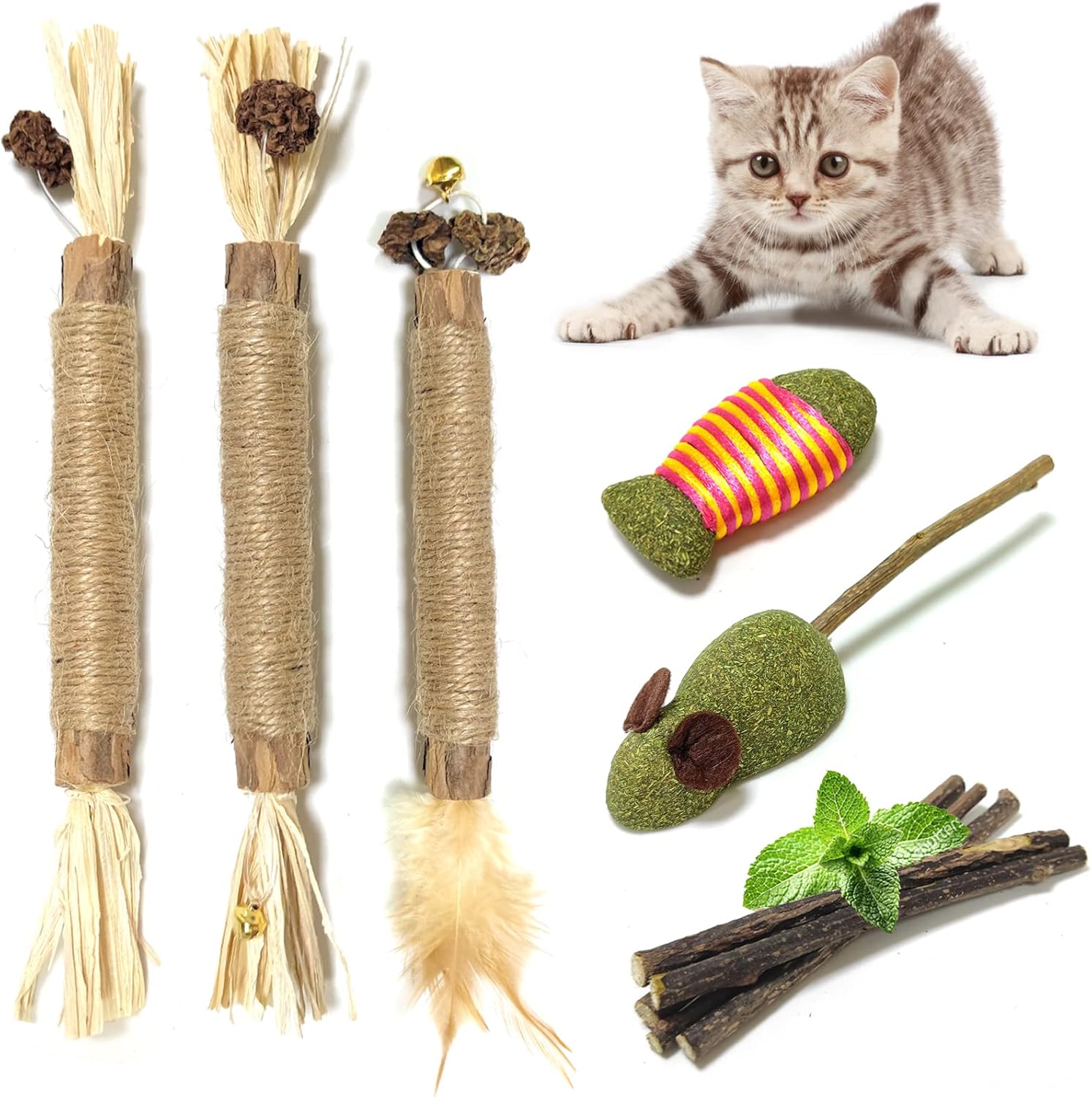 Amazon.com : 10Pcs Natural Silvervine Sticks Cat Toys, Cat Chew Toy ...