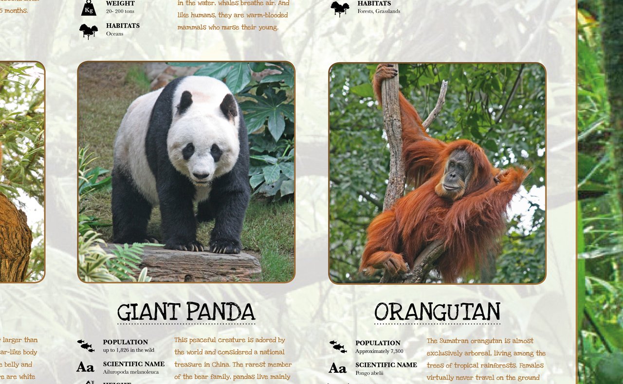 Endangered Species Poster Agriculture, Fisheries And Conservation