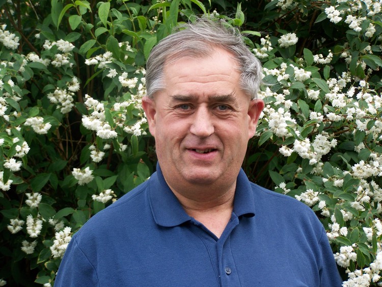 Amazon.com: Stephen tweed: books, biography, latest update