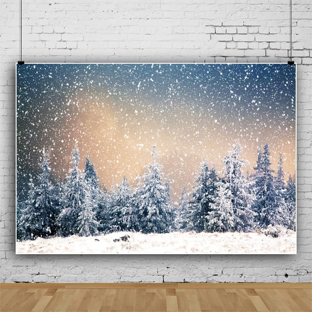 Amazon.com : 7x5ft Vinyl Winter Wonderland Backdrop Xmas Snow Forest ...