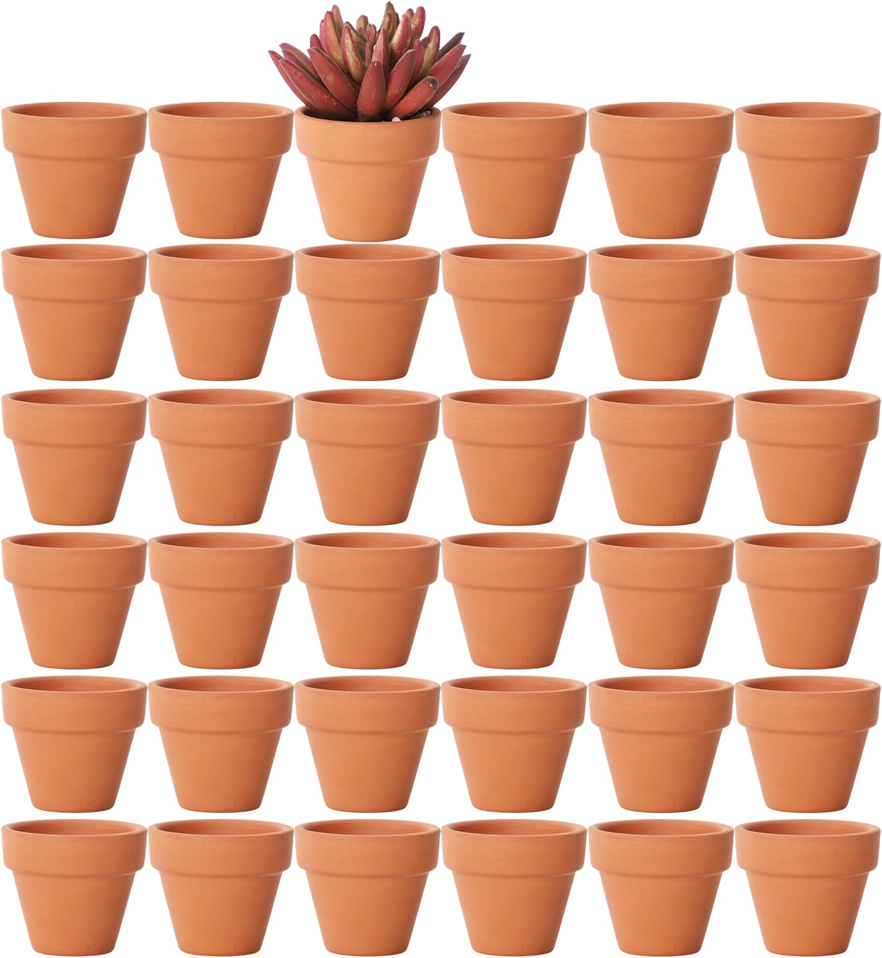 Amazon.com : XXYXXY Terracotta Planters, 16pcs Mini Clay Pots with ...