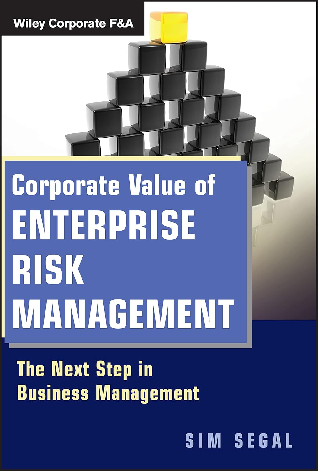 Amazon.com: Corporate Value of Enterprise Risk Management: The Next ...