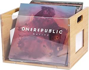 Amazon.com : walowalo Vinyl Record Storage Record Holder with Handle ...