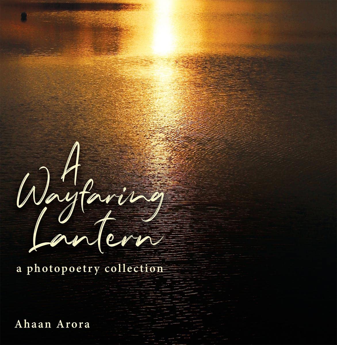 Amazon.com: A Wayfaring Lantern: photopoetry collection: 9781649517982 ...