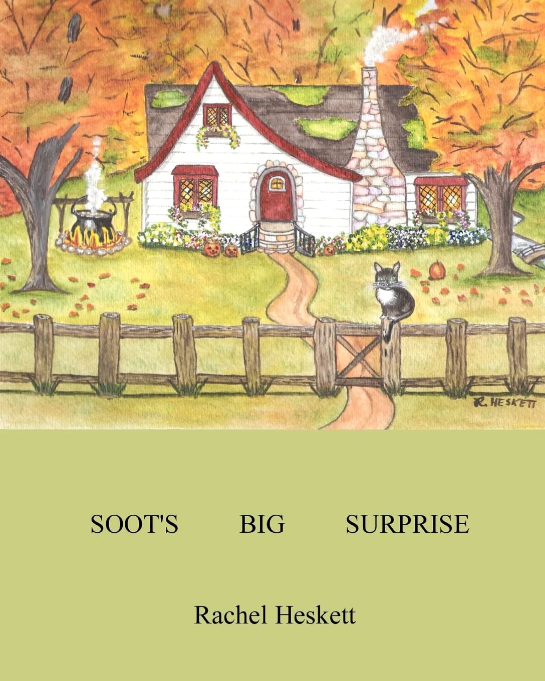 Soot's Big Surprise: Heskett, Rachel: 9781449516574: Amazon.com: Books