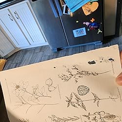 Shinners & Mahler's Illustrated Flora of North Central Texas: Diggs ...